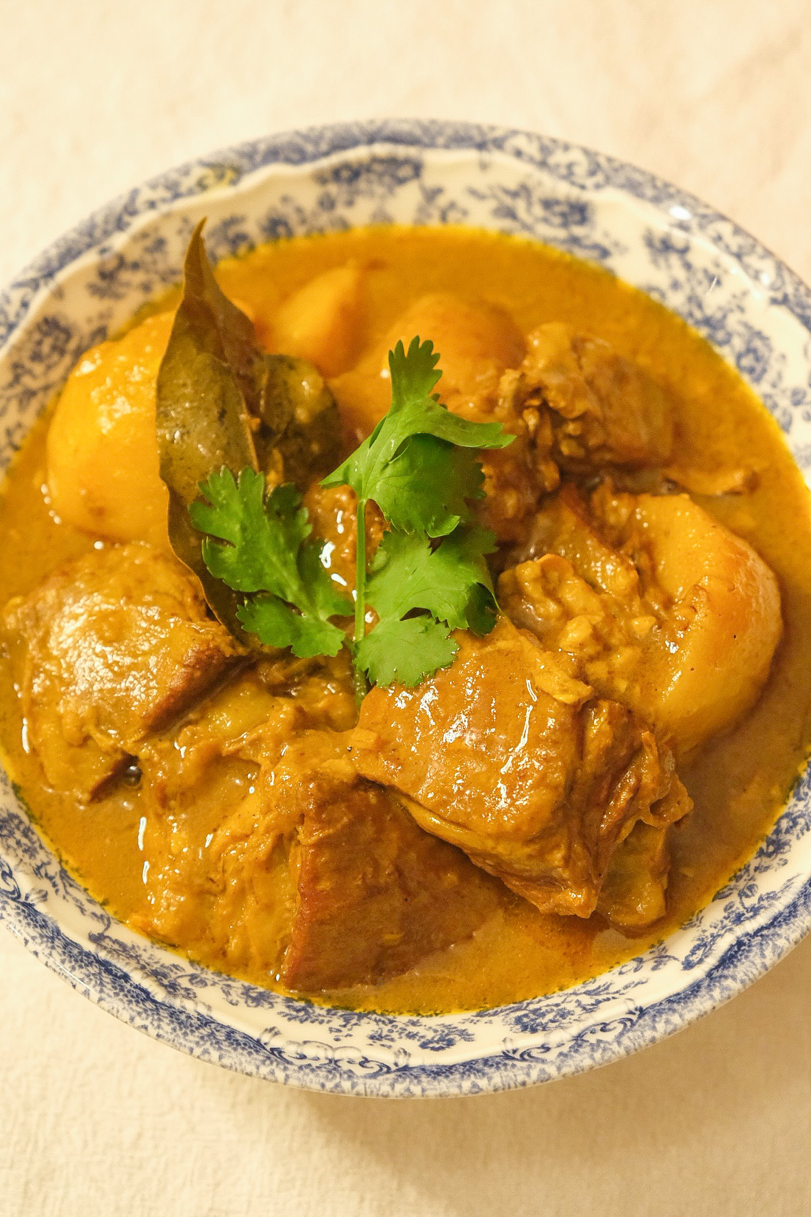 Super Tender Curry Beef Brisket - youreadygirl